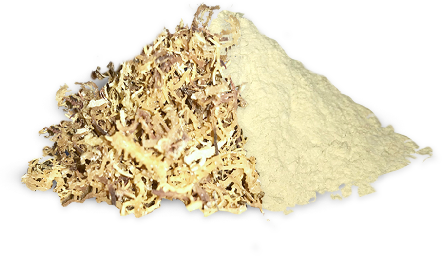 Bantimurung Seaweed | Bantimurung Carrageenan